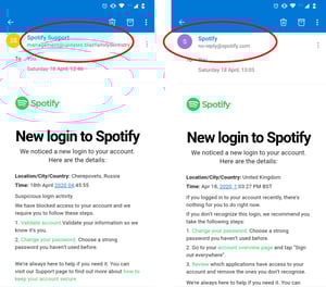 What is Whaling Phishing? | Whale Phishing Examples & Prevention
